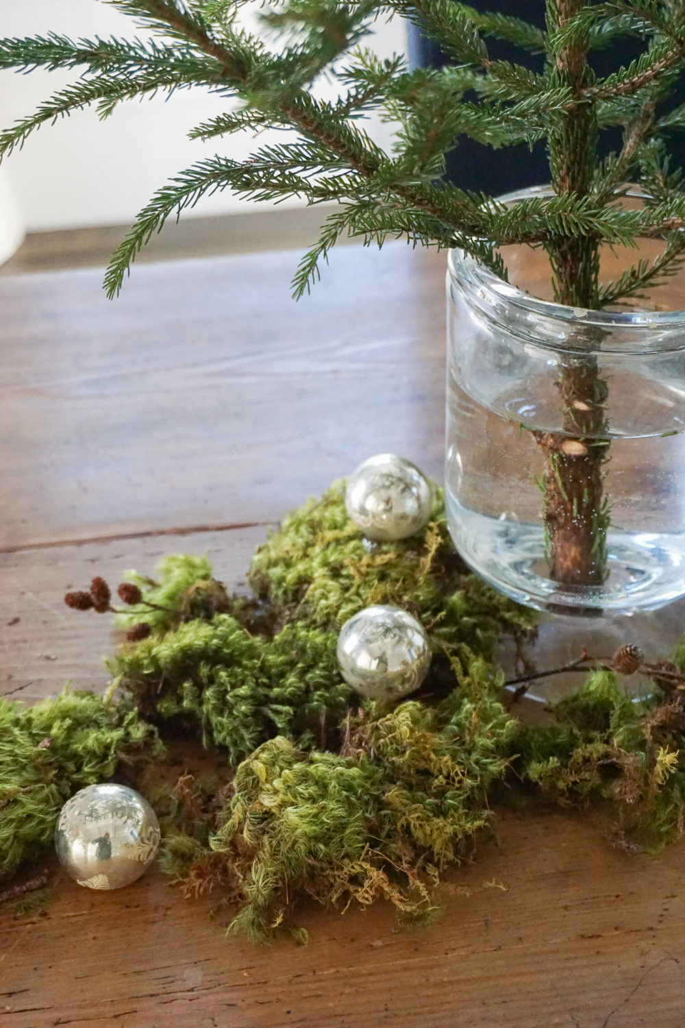 Tabletop Trees Inspired by the Forest - Finding Lovely